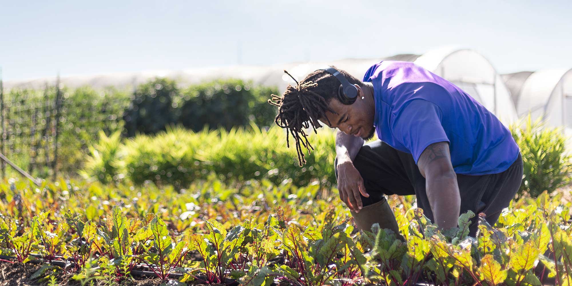 Indigo Farm | Indigo, a New Home Community in Richmond, TX