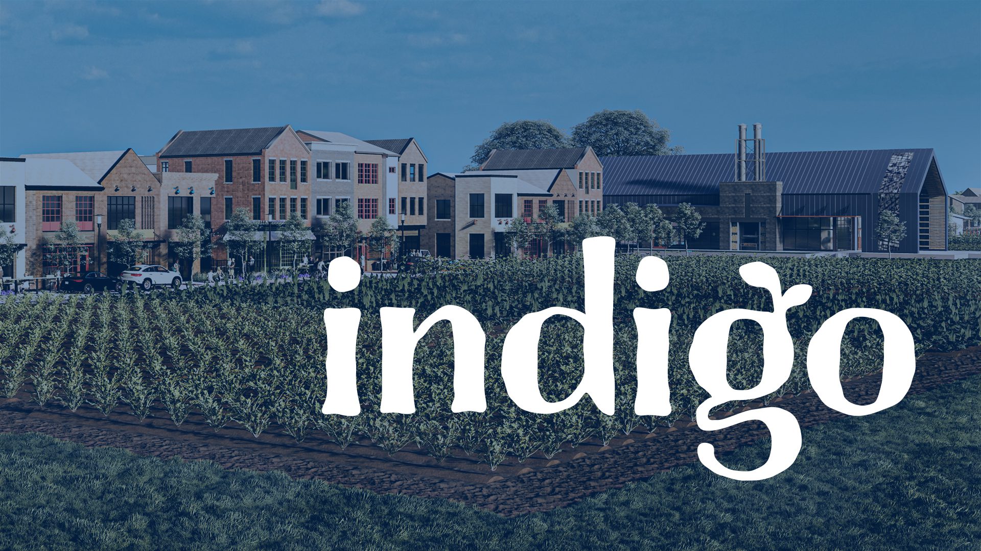 Discover Indigo: A Vibrant Community in Richmond, TX | Indigo